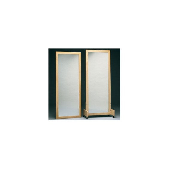 Bailey Posture Mirrors – Tartan Group